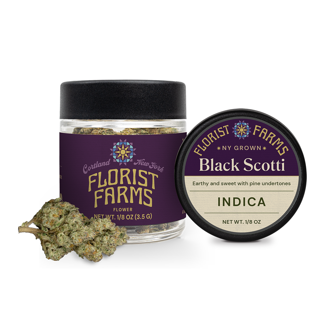 Black Scotti | Eighth Ounce – Florist Farms